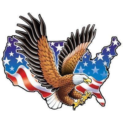 14 Best Bald Eagle With American Flag Tattoo Designs Artofit