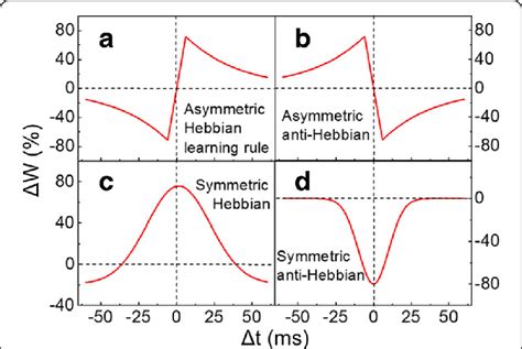 ideal stdp learning functions a asymmetric hebbian learning function download scientific