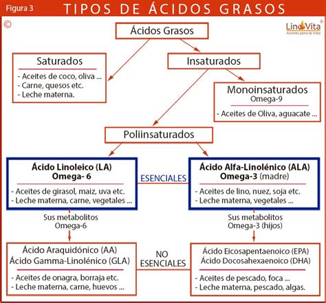 TIPOS DE ÁCIDOS GRASOS