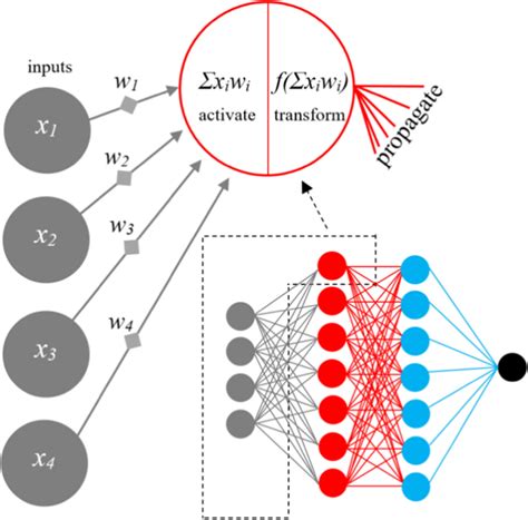 typical biologically inspired artificial neuron showing activation and download scientific