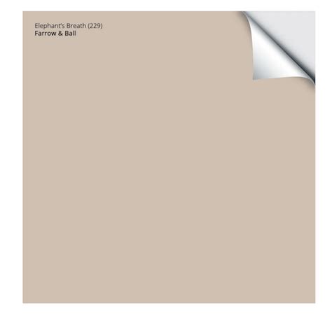Farrow And Ball Elephant S Breath A Detailed Paint Review The Zhush