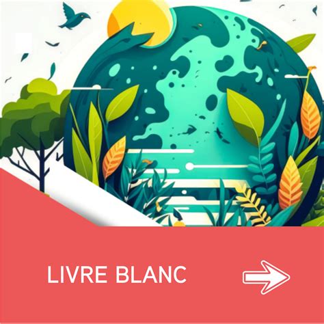 Livre Blanc 8 Conseils pour réussir votre démarche RSE Entreprises