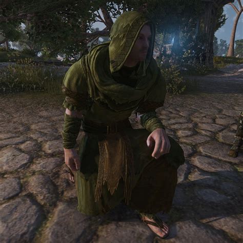 Online Druid Nyron The Unofficial Elder Scrolls Pages UESP