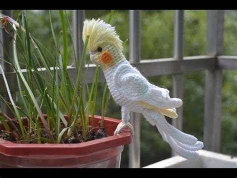 How To Crochet Cockatiel Amigurumi Parrot Amigurumi Cockatiel