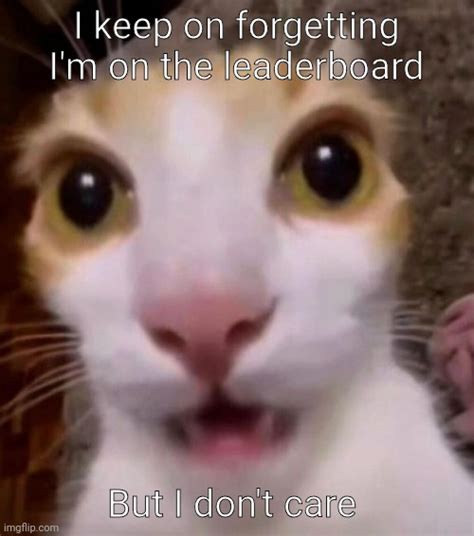 Imgflip