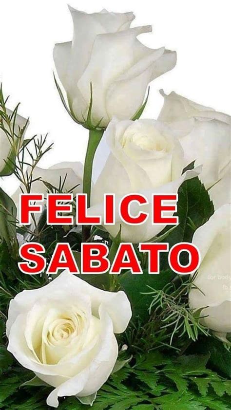 Pin Di Lucia Pallotti Su Buongiorno Buongiorno Immagini Auguri Di