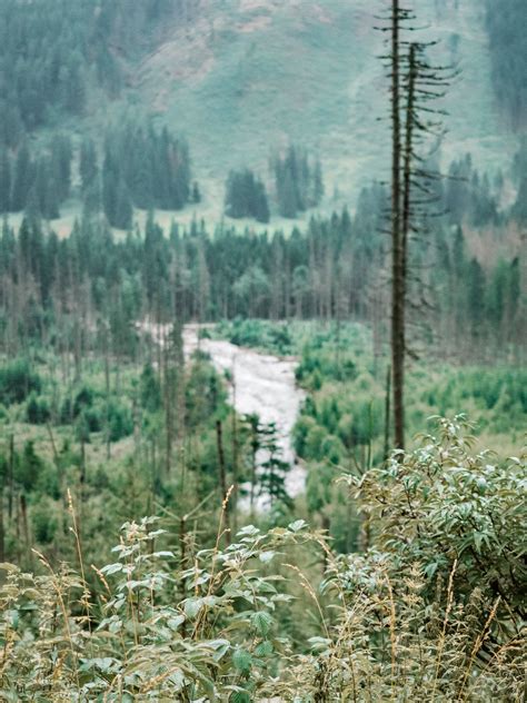 Definitive Guide To Hiking Morskie Oko And Czarny Staw In Zakopane