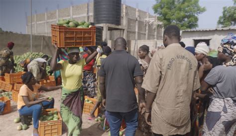 Lancement d une mini série BioStar Les bioénergies en Afrique de l