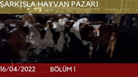 ŞARKIŞLA HAYVAN PAZARI BÖLÜM 1 YouTube