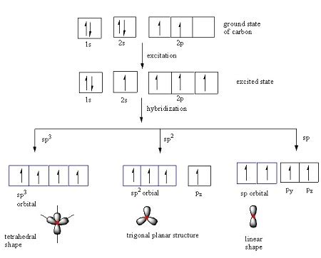 Hybridization Of Co