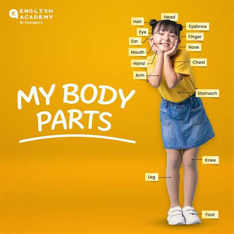 Parts Of The Body Mengenal Anggota Tubuh Manusia Bahasa Inggris