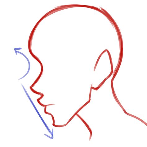 How To Draw Male Face Side View