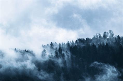 Wie Kann Ein Grabstein Beschriftet Werden Himmel Stein