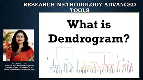 What Is Dendrogram Clustering Hierarchical Cluster Dendrogram