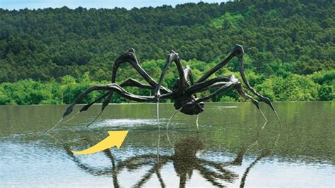 INSECTOS Mas GRANDES Del Mundo PREHISTORICOS YouTube