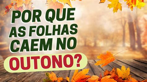 Por Que As Folhas Caem No Outono Rvores Caducif Lias Canal Meu