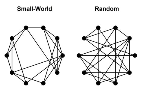 a small world network and a random network adapted from watts and download scientific diagram