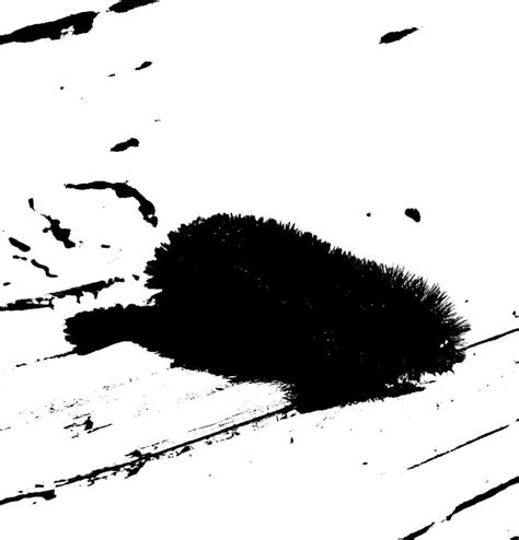 Convert A Photo To Black And White In Python Mouse Vs Python