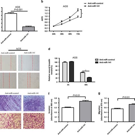 The Effect Of Ectopic Expression Of MiR 141 Levels On Cell