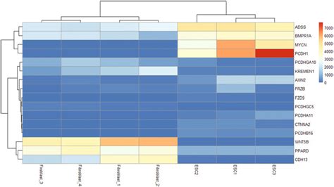 A Heat Map Prepared Using The Pheatmap Default Arguments From The