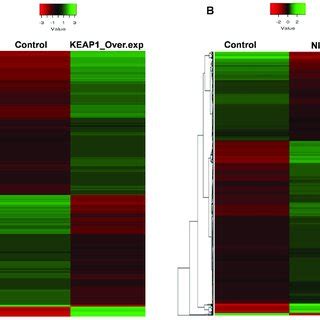 Heatmaps Showing The Expression Profiles And Hierarchical Clustering Of