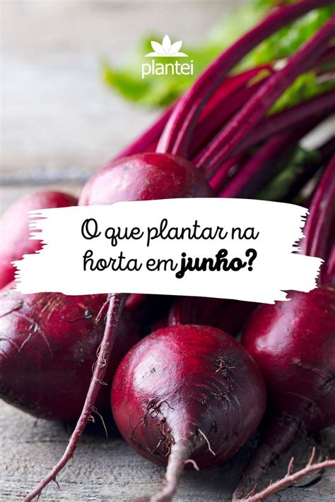 Mês a mês o que plantar na horta Blog da Plantei