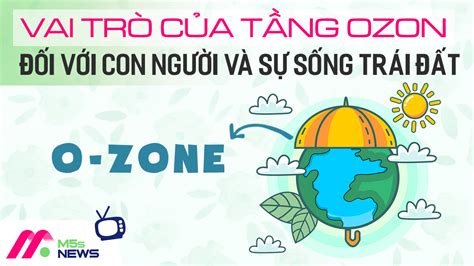 Vai trò của tầng ozon đối với con người và sự sống Trái Đất
