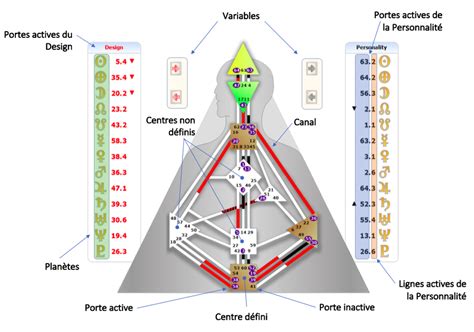 Le Schéma Corporel en Design Humain Design Humain et Clés Génétiques