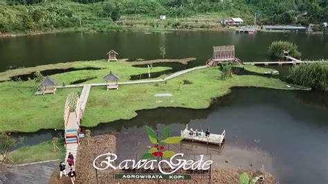 Agro Wisata Kopi Situ Rawa Gede Pariwisata Kabupaten Bogor YouTube