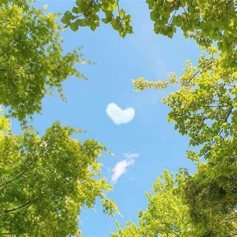 Spring Aesthetic Nature Aesthetic Aesthetic Images Green Aesthetic