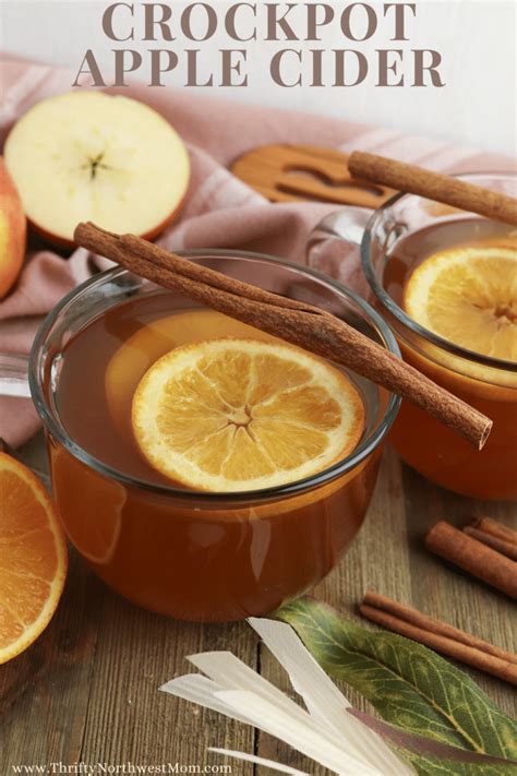Apple Cider Crockpot Recipe Easy Delicious Thrifty NW Mom