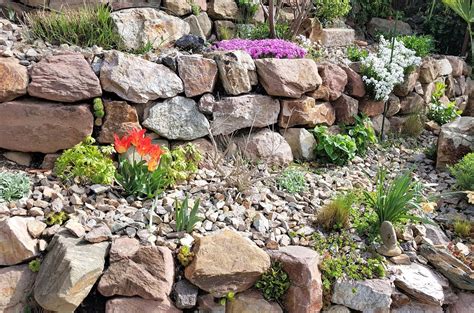 Guía completa Cómo hacer un jardín con cactus y piedras paso a paso