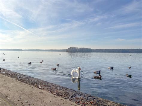 Vermietete 1 Zimmer Wohnung in unmittelbarer Nähe zum Tegeler See