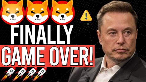 Launch Of SHIBA 3 0 Has Been CONFIRMED By Elon Musk Today S Shiba Inu