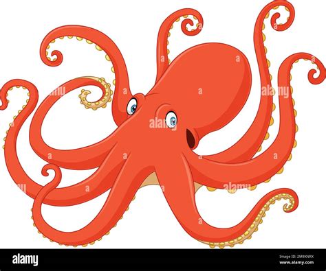 Pulpo De Dibujos Animados Sobre Fondo Blanco Imagen Vector De Stock Alamy