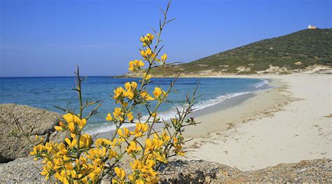 So Kommen Sie Zum Campingplatz Le Bodri Auf Korsika Camping Le Bodri