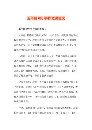 五年级600字作文说明文