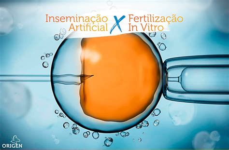 Insemina O Artificial E Fertiliza O In Vitro Entenda As Diferen As