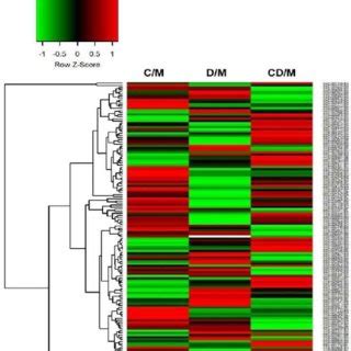 Heat Map Showing The Expression Pattern Of All Identified Proteins A