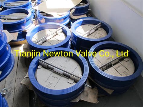 Dn Dn Pn Pn Ductile Cast Iron Double Disc One Way Non Return