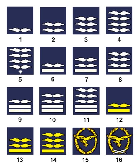 Dienstgrade der deutschen Luftwaffe bis 1945 Militär Wissen