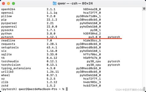 Pytorch Mac Mac Pytorch Csdn