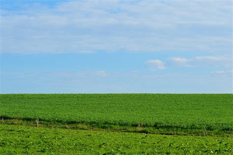 Fotos gratis paisaje naturaleza césped horizonte pantano planta