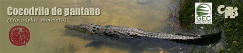 CITES Biodiversidad Mexicana