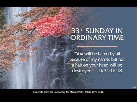 Sunday Mass 33rd Sunday In Ordinary Time November 13 2022 YouTube