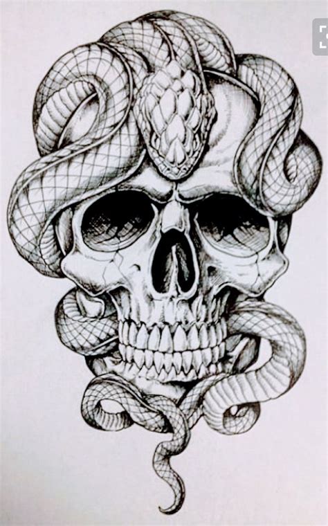 Skull And Snake Lineart Skull Tattoo Design Tattoo Drawings Tattoos