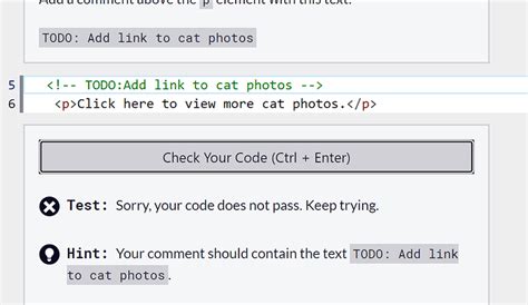 learn html by building a cat photo app step 4 html css the freecodecamp forum