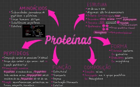 Arriba 63 Imagen Mapa Mental Sobre Las Proteinas Abzlocal Mx