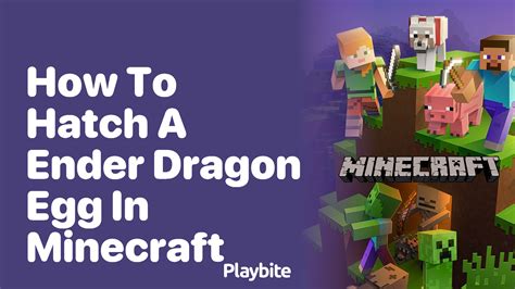 How To Hatch An Ender Dragon Egg In Minecraft Playbite
