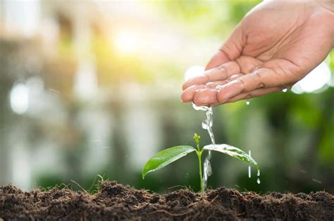 Vai trò của nước trong đời sống trong cơ thể con người 2023 The first